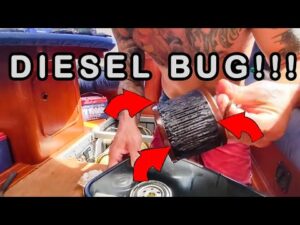 BUGS in the FUEL of the BOAT!!!!! - SAILING and YACHTING