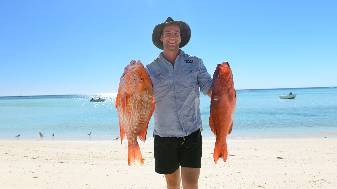 SPEARFISHING AUSTRALIA'S BEST FISH (Catch, Clean, Cook) - SAILING and ...