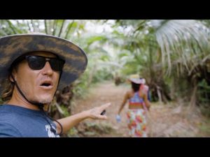 The famous PIRATE trail of Panama.... - SAILING and YACHTING